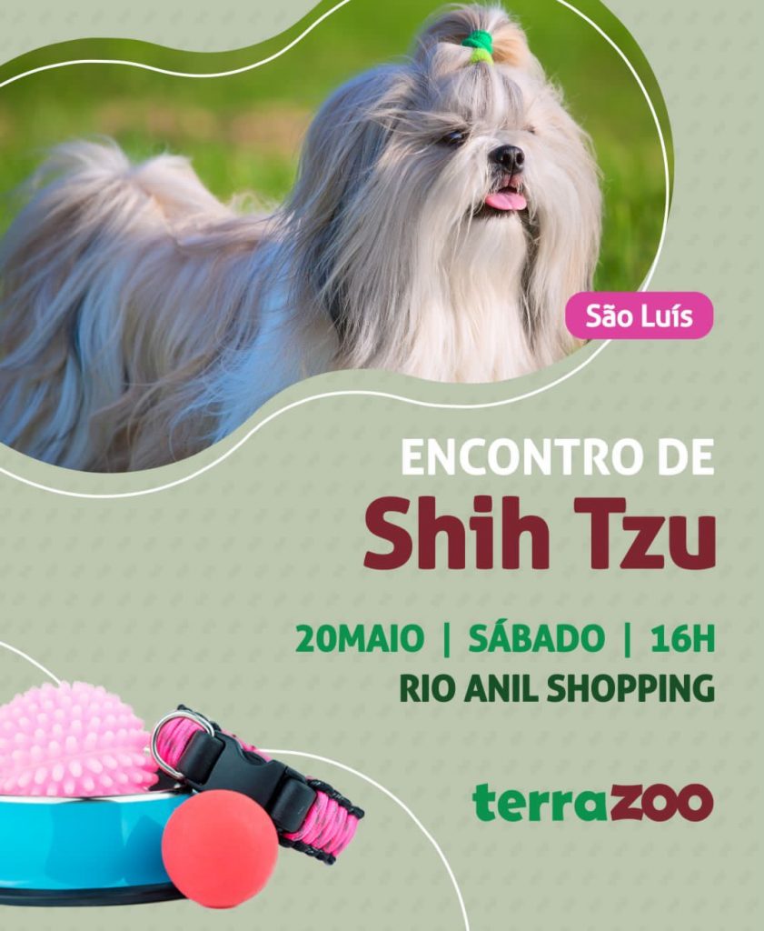 Encontro de Shih Tzu – Terra Zoo