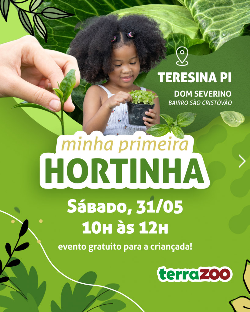 Oficina Minha Primeira Hortinha, em Teresina – Terra Zoo